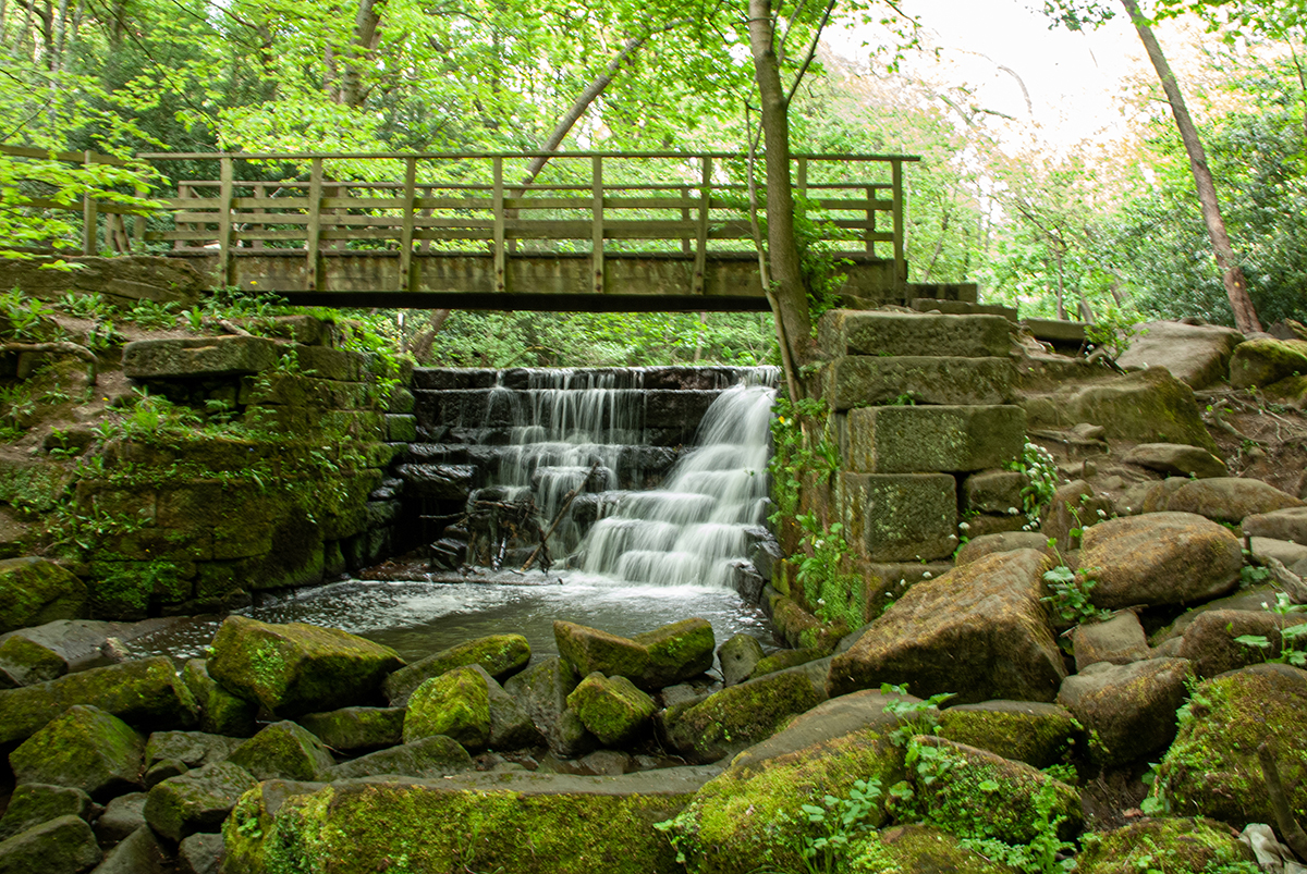 Meanwood Valley Trail Circular Walk | The Myrtle Tavern